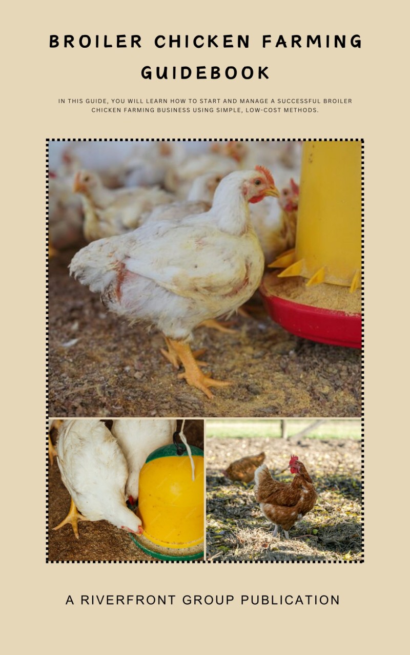 Buy Broiler Chicken Farming Guidebook (Ebook) by Riverfront Foods on Selar